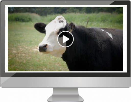 South London Waste Partnership